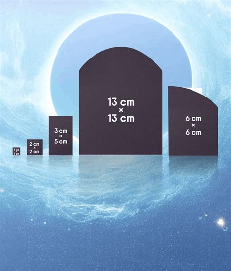Stomics Stereo Seq Advanced Spatial Multi Omics Technology