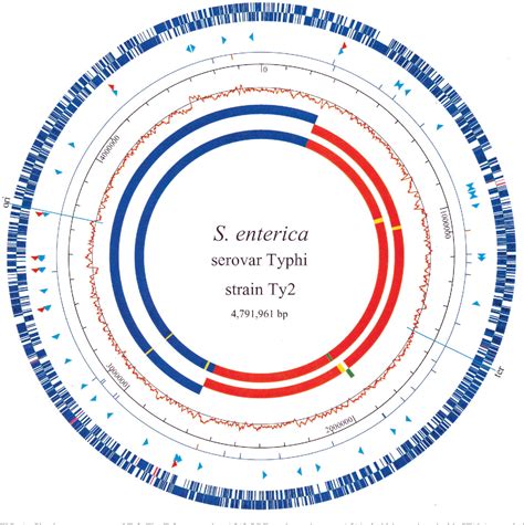 Figure 1 From Comparative Genomics Of Salmonella Enterica Serovar Typhi