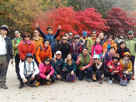 재 상 경 북 향 우 회 Band