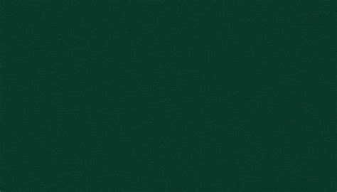 Plain Dark Green Background