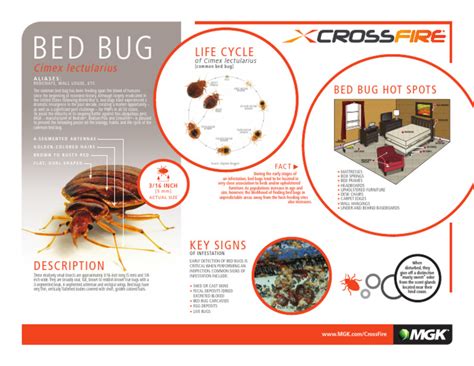 20 Mgk 0256 Updated Bed Bug Poster 8 5x11 Pdf Bed Insects And Humans
