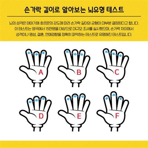 왼손 손가락 길이로 알아보는 뇌유형 테스트 나는 무슨 유형의 뇌를 가진 사람일까 자유게시판 동국제약 주