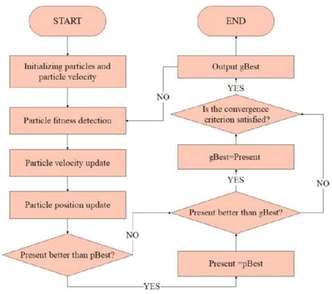 Figure 1 From Design Of A Cycling Rider Model Based On Multi Objective