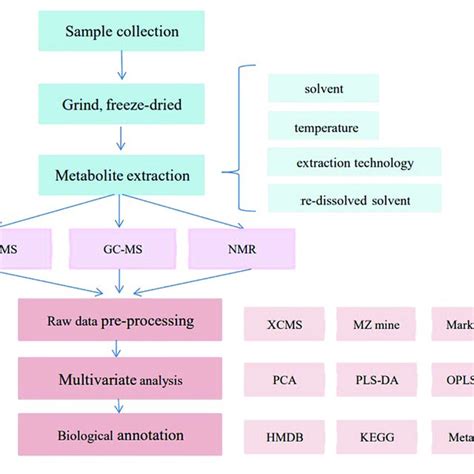 Metabolomics Sample Preparation Analysis And Data Processing Flowchart Download