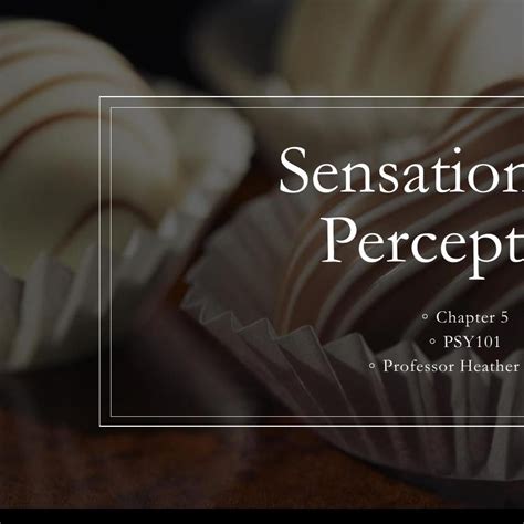 chapter 5 power point lecture psy101 sensation and perception 1