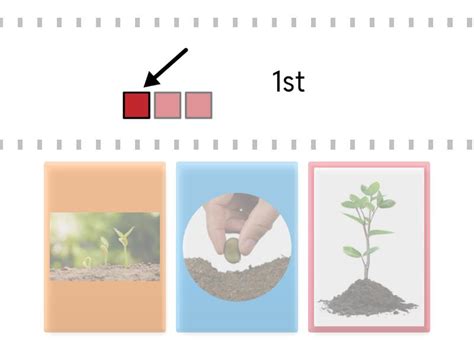 Sequence Order Find The Match