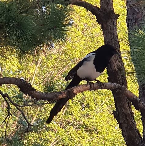 생명의삶 오늘의qt [시편 80 1~19] 주님의 얼굴 빛은 구원의 빛입니다 📖 오늘의 말씀 14 만군의 하나님이여 구하옵나니 돌아오소서 하늘에서 굽어보시고 이 포도