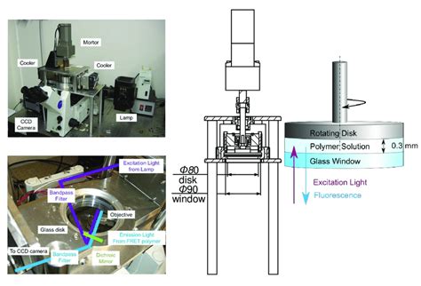 Schematics Of The Experimental Setup Download Scientific Diagram