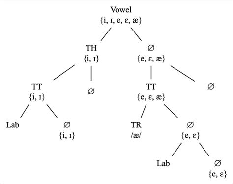 Phase 1 Ig Terminal Nodes Which Contain More Than One Vowel Segment