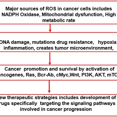 Example Of ROS System Configurations And Obtained Performance Download Scientific Diagram