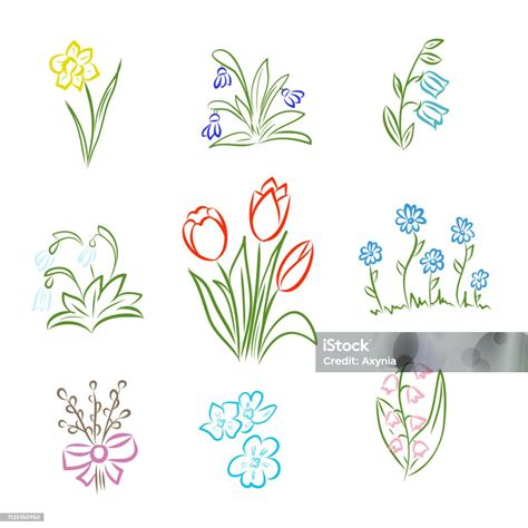 튤립 선화 버드 나무 바이올렛 스노 드롭 벨 계곡의 백합 및 수레 꽃과 낙서 스타일의 봄과 여름 꽃 컬렉션입니다 손으로 그린 색 벡터 일러스트 레이 션 0명에 대한 스톡