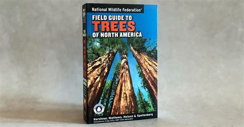 Field Guide To Trees Of North America Simply Charlotte Mason