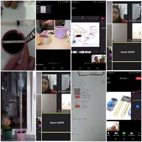 Plant Irrigation System The Stem Discovery Campaign Blogthe Stem Discovery Campaign Blog