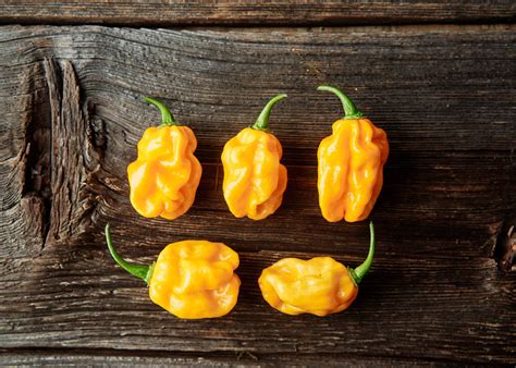 Habanero Orange Hot Pepper Seeds Shopic