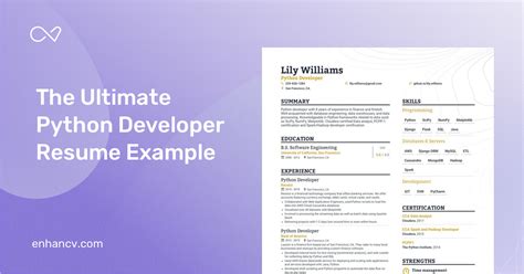 Professional Python Developer Resume Examples Guide For