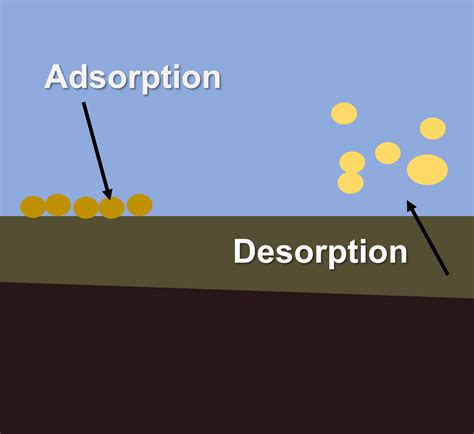 Adsorption And Desorption Department Of Environment Science And
