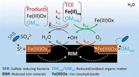Environmental Science And Technology Vol 57 No 12 Acs Publications