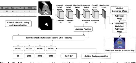 Figure 1 From Advancing Head And Neck Cancer Survival Prediction Via