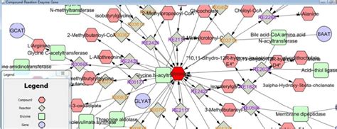 Example Cytoscape Network Download Scientific Diagram