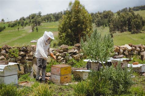 Solid Food Sustainability