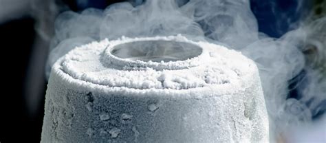 Nitrogen Gas And Its Uses As A Food Preservation Gas