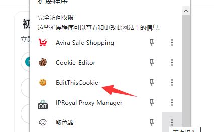 Twitter Auth Token Discord