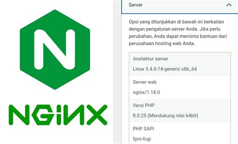 Pakai Web Server Nginx Di WordPress Dengan Litespeed Cache Emang Bisa