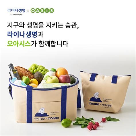 현장 체크 교보생명 라이나생명 흥국생명 푸본현대생명 하나생명 外 뉴스포트