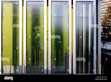 Details Bioreactor Facade Biq Algae Building Iba Internationale Bauausstellung