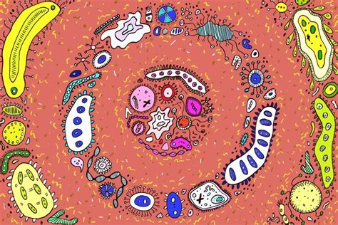Fungal Influence The Gut Mycobiomes Role In Health Personalized