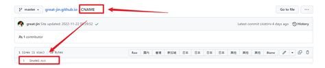 Github 域名绑定教程 布袋青年