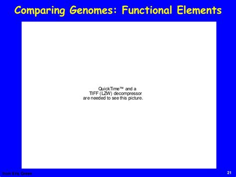 Ppt Bioinformatics And Computational Biology Powerpoint Presentation Id 4487374