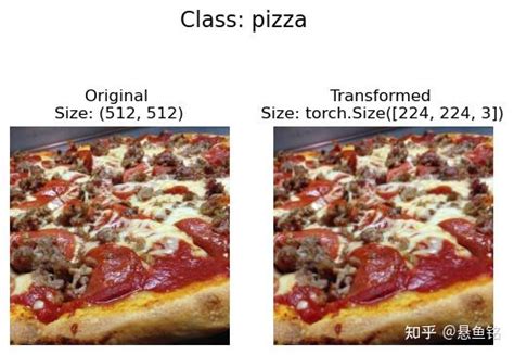 PyTorch 自定义数据集 知乎