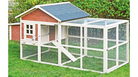 Guía Práctica De Compra Para Elegir El Gallinero Ideal