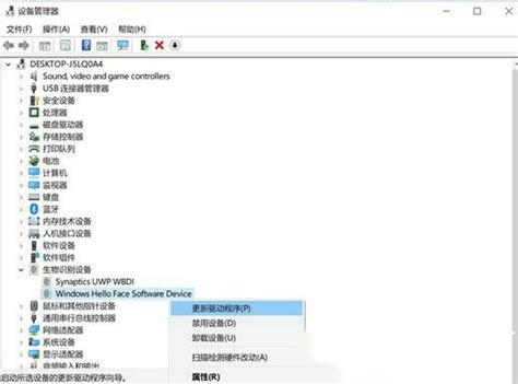 Win11找不到支持windows Hello人脸的摄像头怎么解决？ 纯净之家