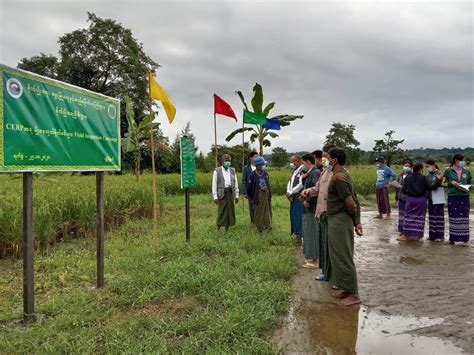 စစ်ကိုင်းတိုင်းဒေသကြီး ခန္တီးမြို့နယ်တွင် ကိုဗစ် ၁၉ စီးပွားရေးကုစားမှု