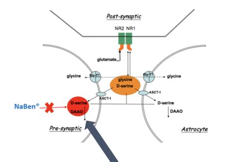 NMDA SyneuRx