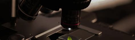 Ai Powered Pathology Medical Coding And Billing Solutions