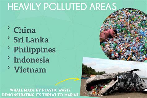 Harmful Effects Of Plastic