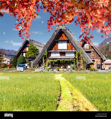 The Fall Season Of Historic Villages Of Shirakawa Go And Gokayama