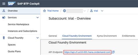 Install Neptune Dxp Open Edition On Sap Btp With Postgresql Neptune