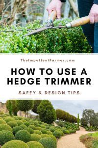 How To Use A Hedge Trimmer A Step By Step Guide