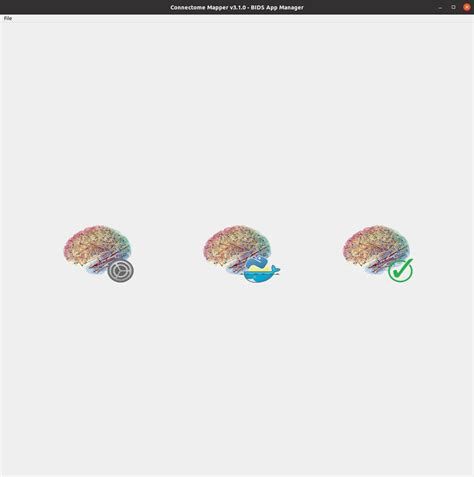 Graphical User Interface — Connectome Mapper 3