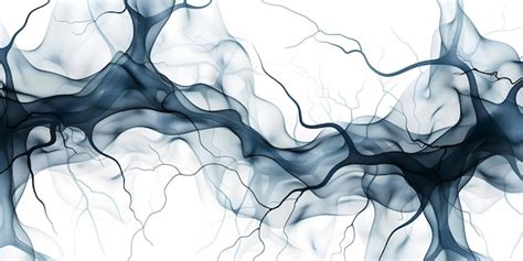Premium Photo Detailed Neurological Map Highlighting Areas Related To Conditions Affecting