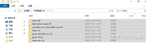 文件管理软件，教你批量翻译所有文件文件夹名并将大写名称快速改为小写 知乎
