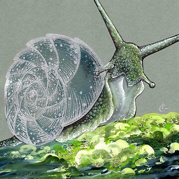 Brave Little Snail Armor From Inktober 2020 Sticker For Sale By