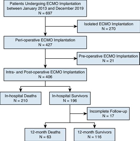Figure E1 Flowsheet Of The Included Patients Ecmo Extracorporeal Download Scientific Diagram