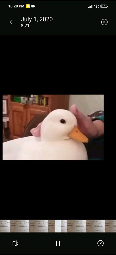 Bug In The Default Gallery App Rmiui