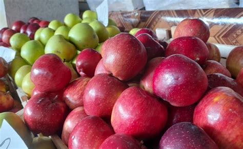 Семь фруктов которые эксперты советуют есть постоянно Всё о еде АКИpress