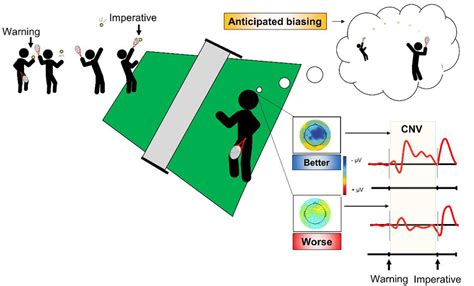 Motor Task And Apparatus Download Scientific Diagram